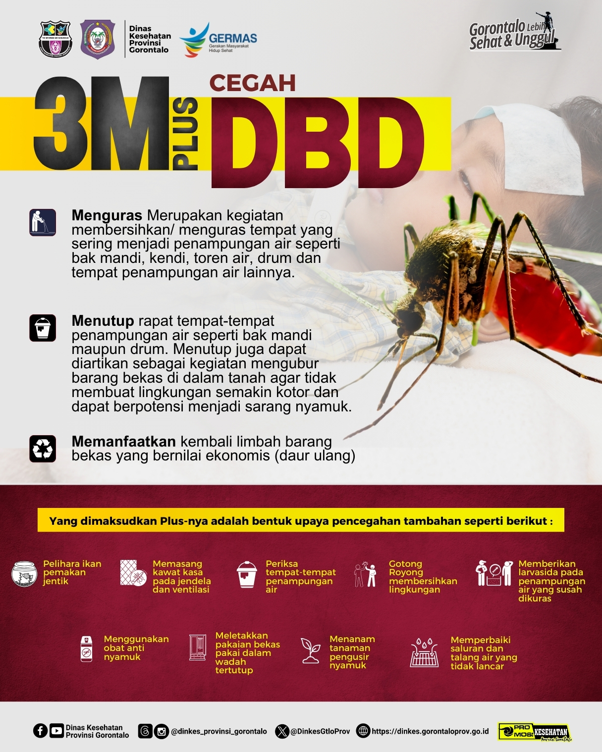 Cegah DBD dengan 3M Plus – Website Resmi Dinas Kesehatan Provinsi Gorontalo
